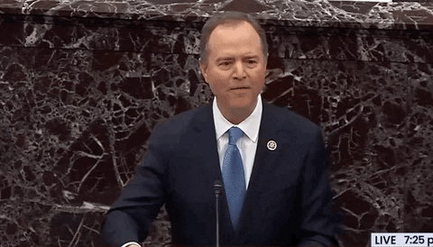 Senate Impeachment Trial GIFs - Get the best GIF on GIPHY