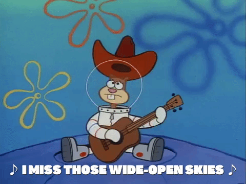 Sandy Cheeks I Wanna Go Home