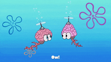 Spongebob Brain GIFs - Find & Share on GIPHY