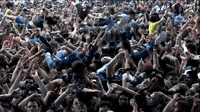 Crowd Going Crazy Gif