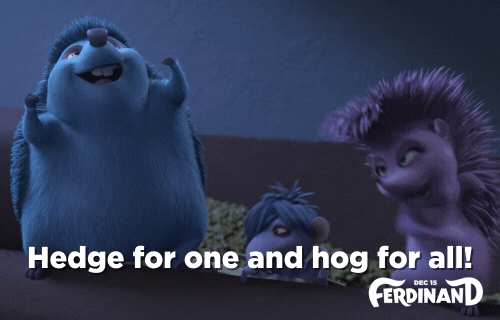 Hedge Hogs GIFs - Get the best GIF on GIPHY