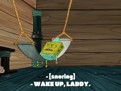 Season 8 Spongebob'S Runaway Roadtrip: Patrick'S Staycation GIF by ...