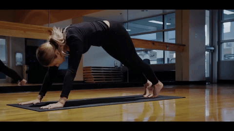 Fsu Group Fitness GIFs - Get the best GIF on GIPHY