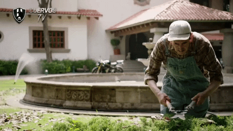 Series De Netflix GIFs - Get the best GIF on GIPHY