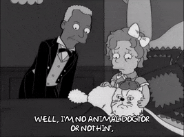 Sick Cat GIFs - Find & Share on GIPHY