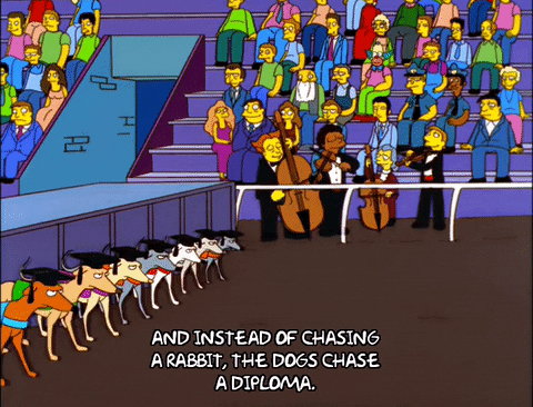 Dogs-chasing GIFs - Get the best GIF on GIPHY