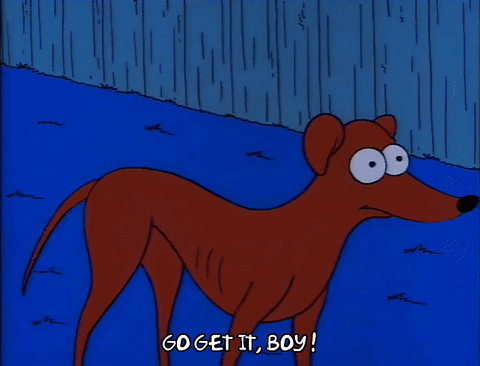 Get-it-boy GIFs - Get the best GIF on GIPHY