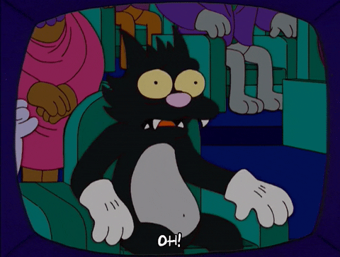 Cat Worried GIFs - Get the best GIF on GIPHY