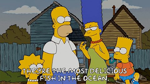 Ocean-fish GIFs - Get the best GIF on GIPHY