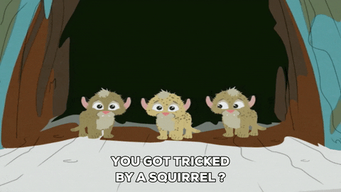 Not Too Smart GIFs - Get the best GIF on GIPHY