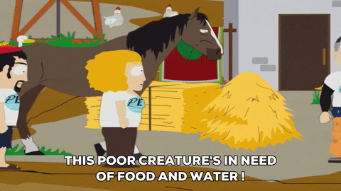 Peta-kids GIFs - Get the best GIF on GIPHY