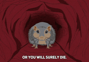 Scared Mouse GIFs - Find & Share on GIPHY