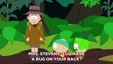 Cruise company announces 4 year 'skip forward' cruise for Americans ...