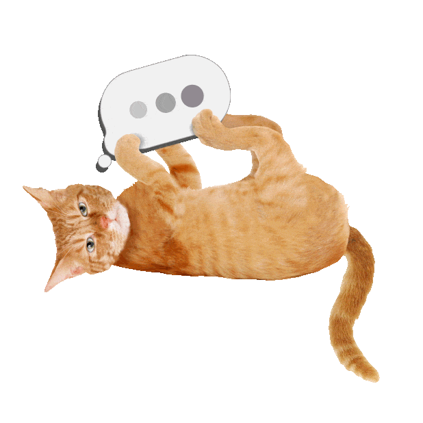 Party Animals Stickers on GIPHY - Be Animated