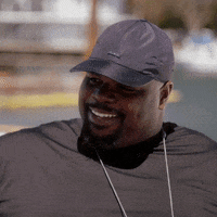Vince Wilfork Interception Gif