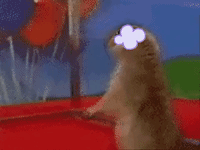 Oh Snap Zoolander Gif