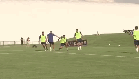 Roma-detroit GIFs - Get the best GIF on GIPHY