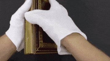 Pen Nibs GIFs - Get the best GIF on GIPHY