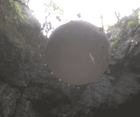 Abstract Loop GIF by Doze Studio - Find & Share on GIPHY