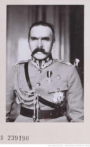 Pilsudski GIFs - Get the best GIF on GIPHY