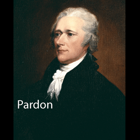 Feds Arrest Alexander Hamilton - Democratic Underground Forums