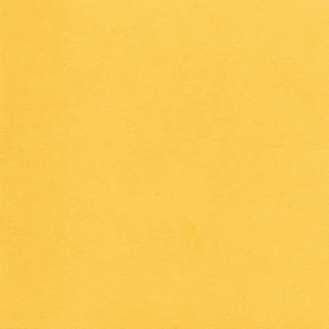 Animation Post It Note GIF by Mia Page - Find & Share on GIPHY
