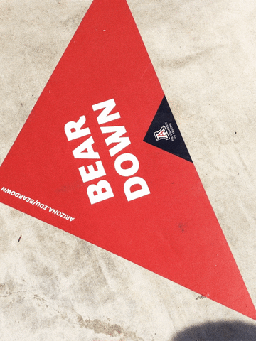 Bear Down Go Cats GIFs - Get the best GIF on GIPHY