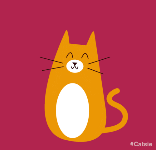Catsie GIFs - Get the best GIF on GIPHY