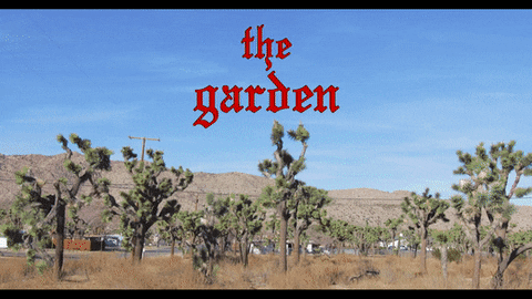 No Destination GIFs - Get the best GIF on GIPHY