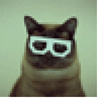Dubstep Cat Gif Trampoline