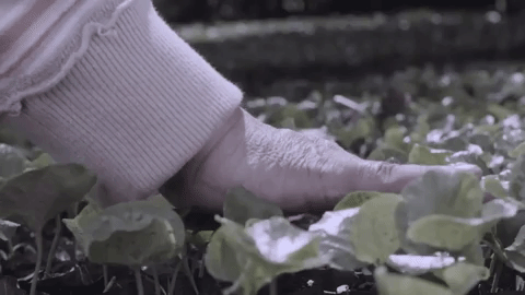 Meraba GIFs - Get the best GIF on GIPHY