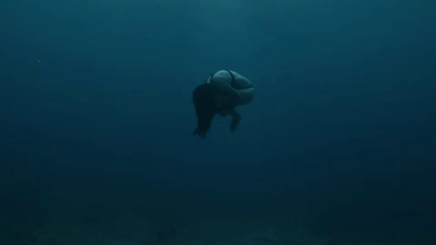 Underwater-videography GIFs - Get the best GIF on GIPHY