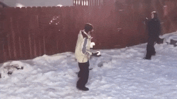 Snow Fail GIF by America's Funniest Home Videos - Find & Share on GIPHY