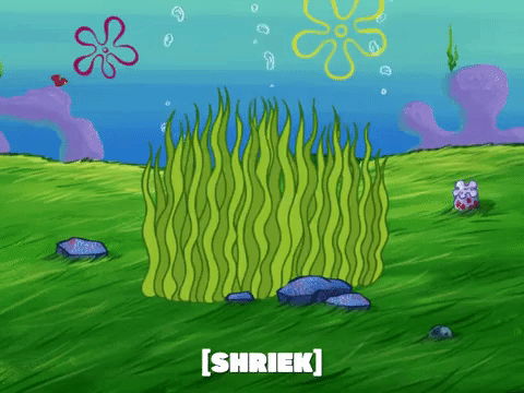 Spongebob Seaweed