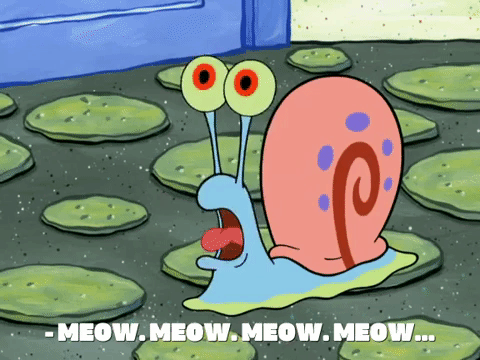 Gary The Snail Meow