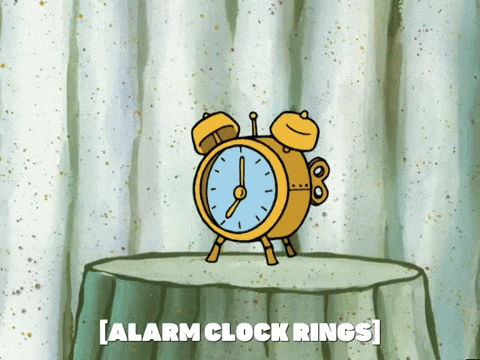 Season 5 Episode 3 GIF by SpongeBob SquarePants - Find & Share on GIPHY