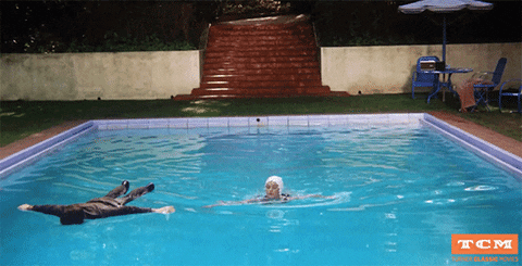 Harold-and-maude GIFs - Get the best GIF on GIPHY