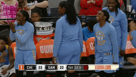 Chicago Sky GIF by WNBA - Find & Share on GIPHY