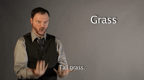 Tall-grass GIFs - Get the best GIF on GIPHY