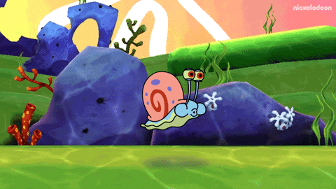 Meow Flying GIF by SpongeBob SquarePants - Find & Share on GIPHY