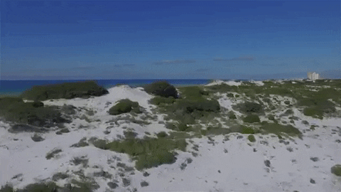 Panama City Beach GIFs - Get the best GIF on GIPHY