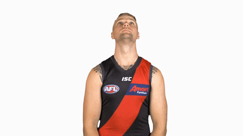 Essendon FC GIF - Find & Share on GIPHY