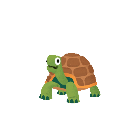 Turtle Walking Gif
