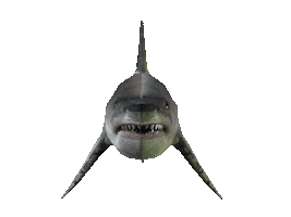Movie Horror Sticker by Bad CGI Sharks for iOS & Android | GIPHY