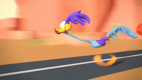 Road Runner Running Gif