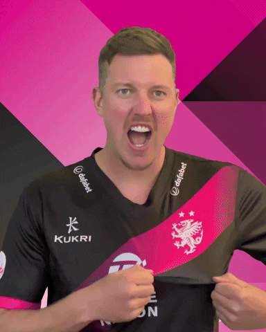 2024 T20 GIFS GIFs on GIPHY - Be Animated