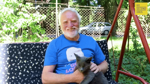 Hide Your Pain Harold GIFs - Get the best GIF on GIPHY