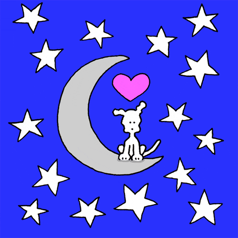 Good Night Love GIF by Chippy the Dog - Find & Share on GIPHY