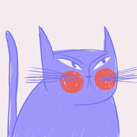 Cat Wow GIF by Renata S Cabrera - Find & Share on GIPHY