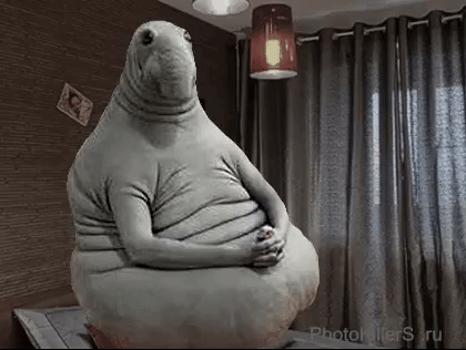 Homunculus-loxodontus GIFs - Get the best GIF on GIPHY